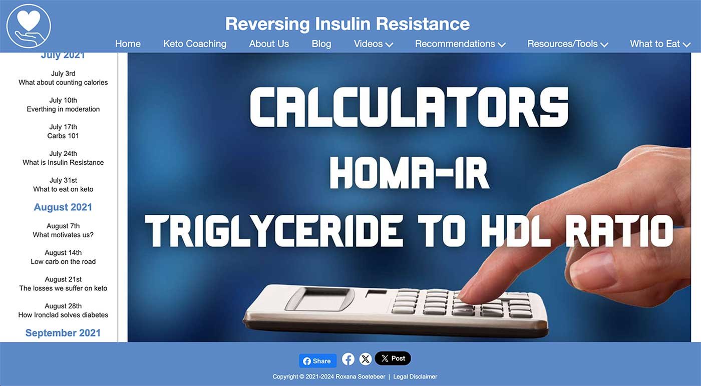 Insulin Resistance - HOMA IR - TG:HDL Ratio by Joy Sypher
